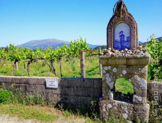 Marché de Compostelle à Fatima en août 2017